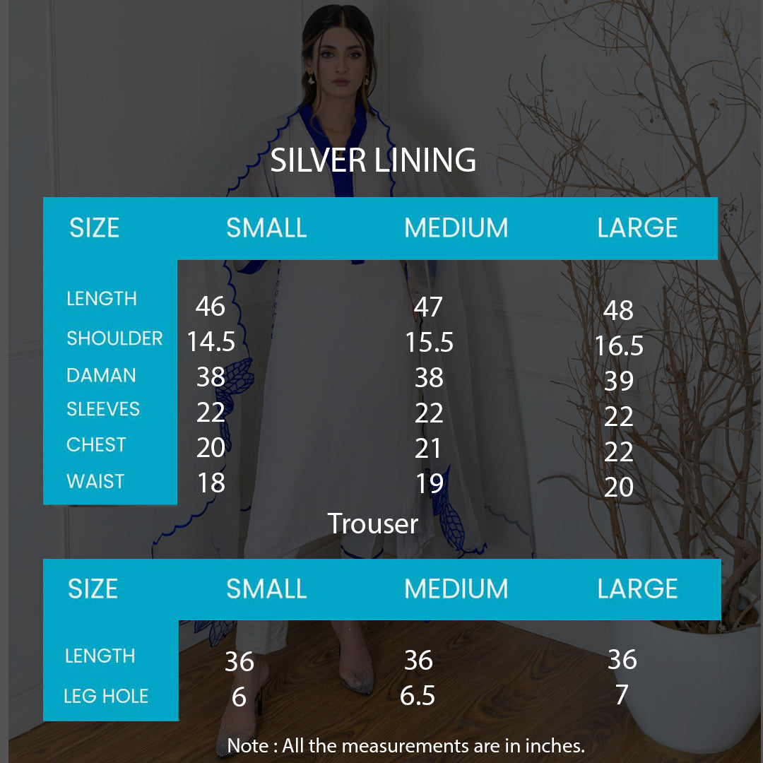 Silver Lining – Jooray Kapray